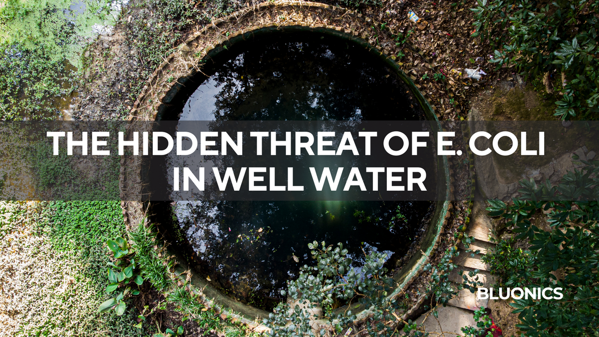 The Hidden Threat of E. coli in Well Water – Bluonics