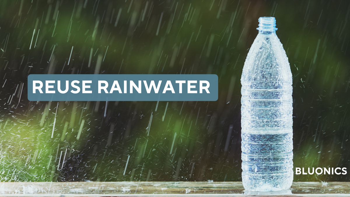 How to reuse rainwater effectively – Bluonics